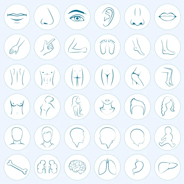Body parts, five senses - Stock Image - Everypixel