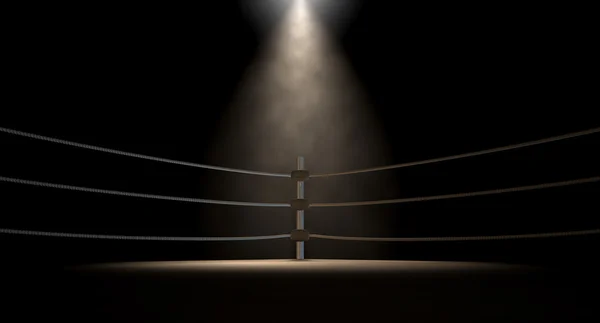 Boxing Ring Corner Wallpaper