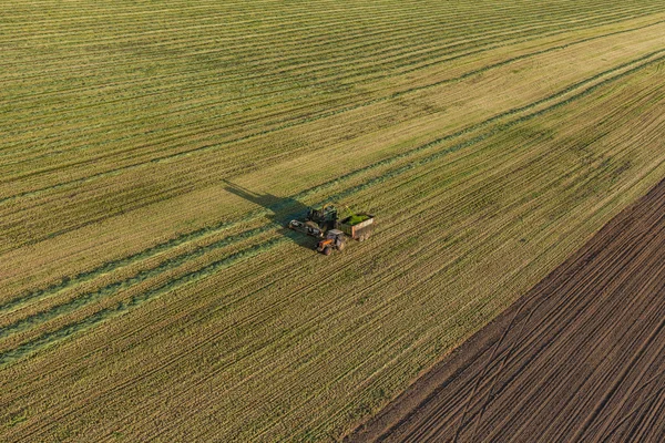 Aerial view of harvest fields with combine - Stock Image - Everypixel