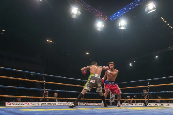 Match between Anthony Yigit (SWE) vs Armando Robles (MEX) in sup - Stock Image - Everypixel