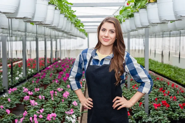 Florists woman working with flowers in a greenhouse. - Stock Image - Everypixel