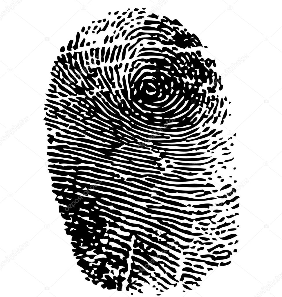 Fingerprint vector — Stock Vector © Popup1 #80872464 Fingerprint vector — Stock Vector © Popup1 #80872464