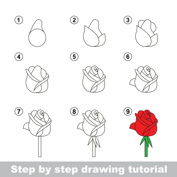 Tekening tutorial. Hoe teken je een roos — Stockvector © Anna_Mikhailova #102935918