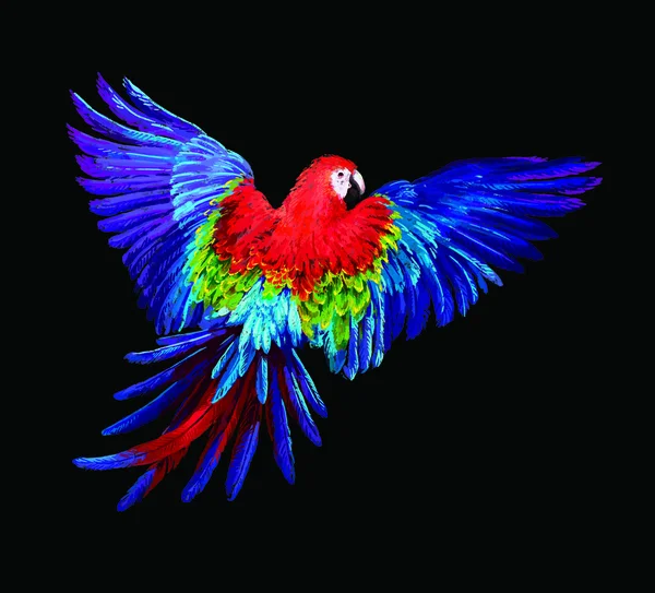 Arara voando Fotografias de Banco de Imagens, Imagens Livres de ... Arara voando Fotografias de Banco de Imagens, Imagens Livres de ...