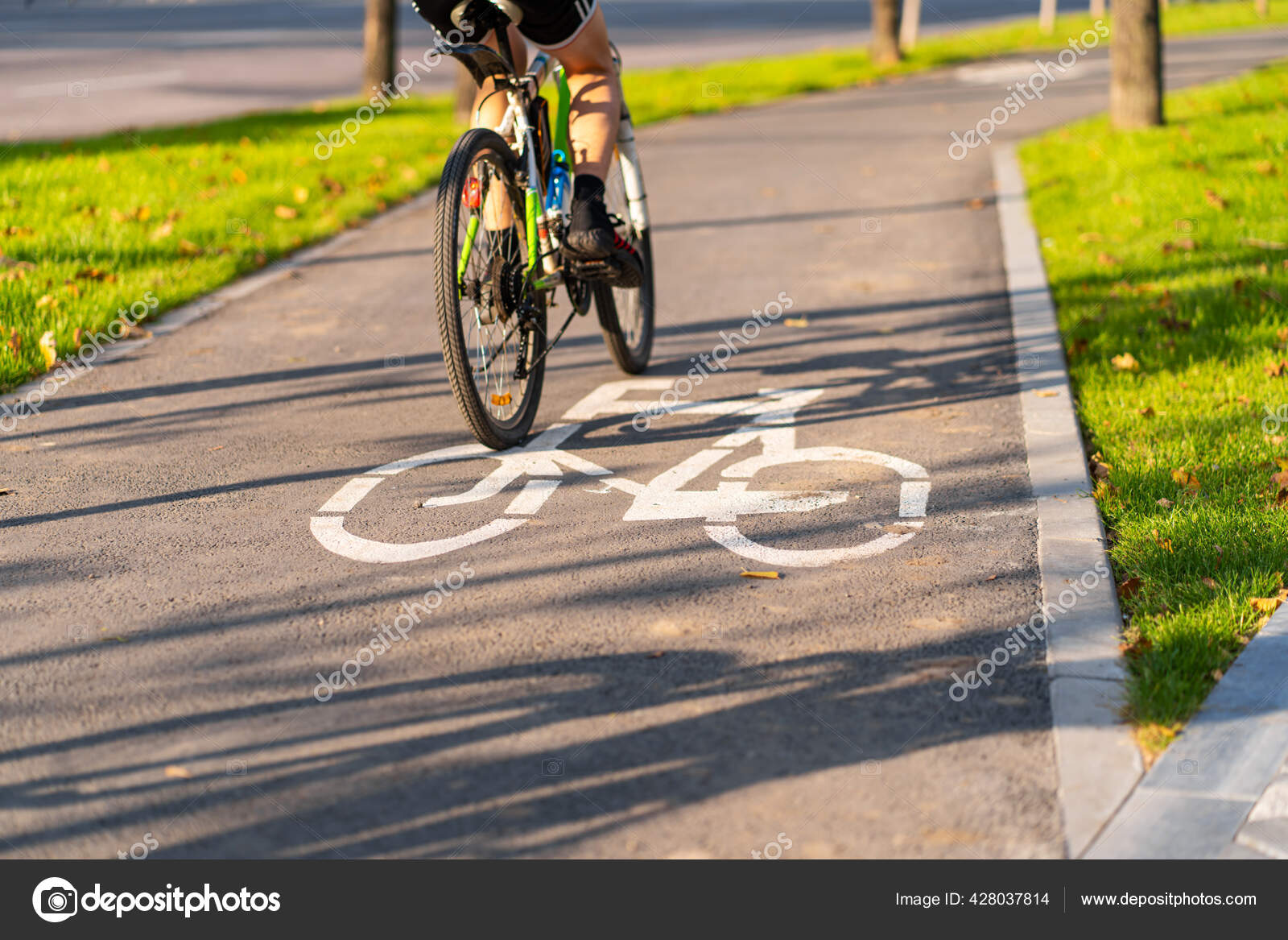 Cycle Path City Park Bicycle Sign Road — Stock Photo © Kukota #428037814