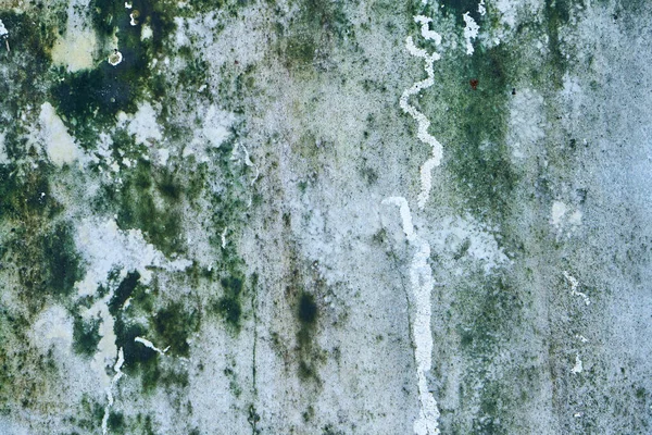 Concrete wall texture with green mold stains. - Stock Image - Everypixel