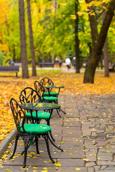 Autumn park with fallen yellow leaves. A place to relax with a cup of ...