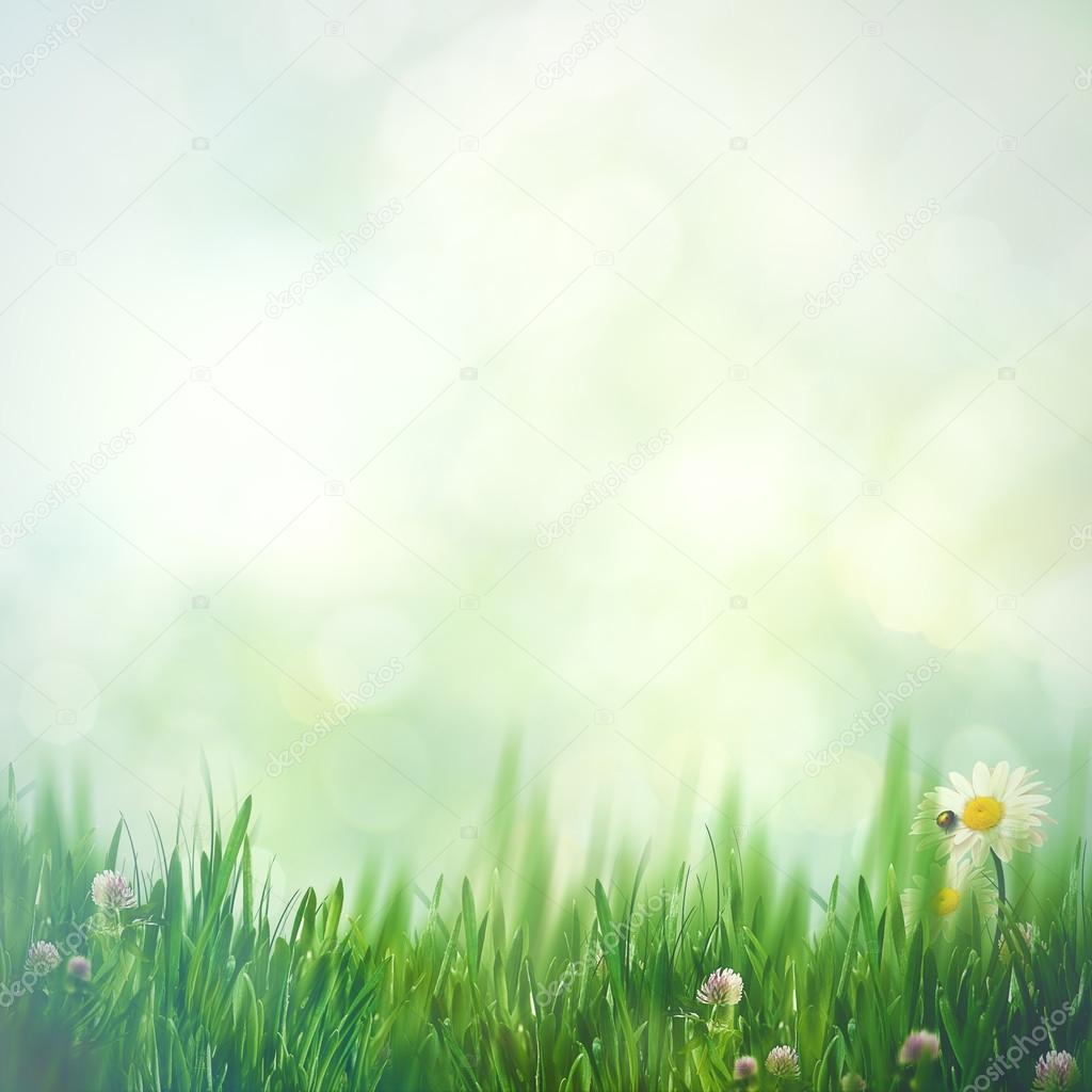 Beautiful natural green grass Stock Photo by ©tolokonov 115730680