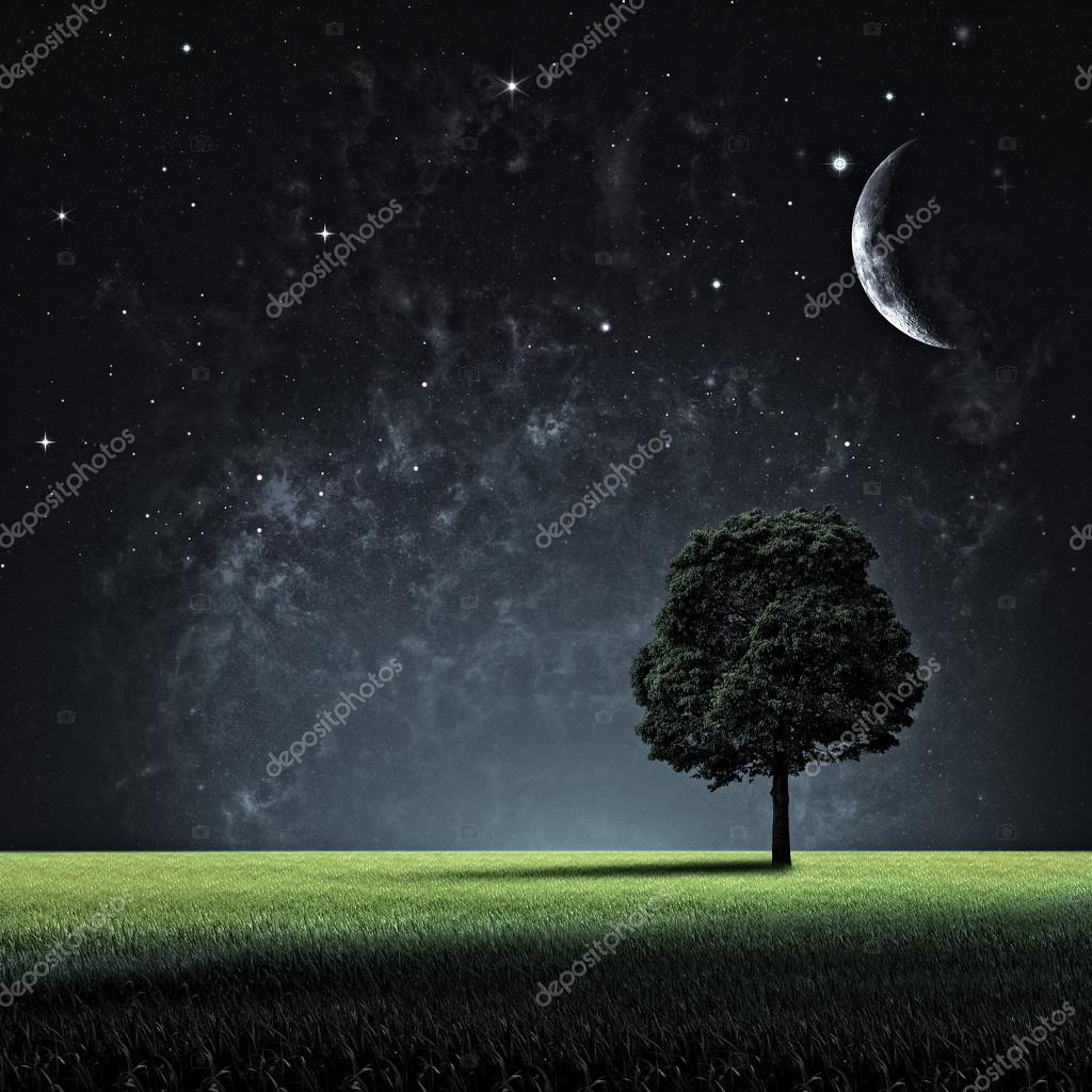 Moon over tree at night Stock Photo by ©tolokonov 60974901