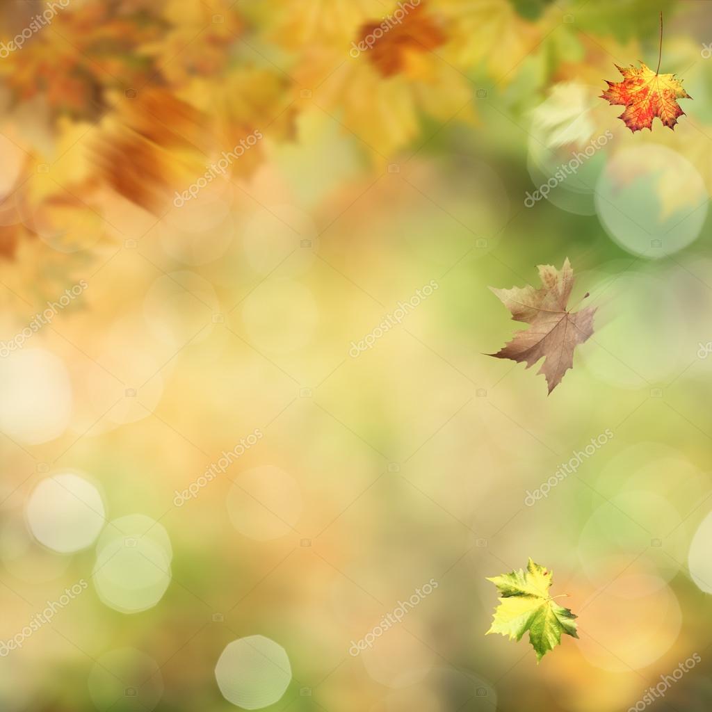 Blurry background with foliage — Stock Photo © tolokonov #86909280