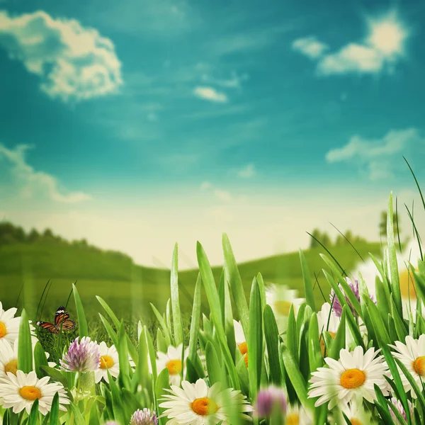 Summer nature background Stock Photos, Royalty Free Summer nature ...