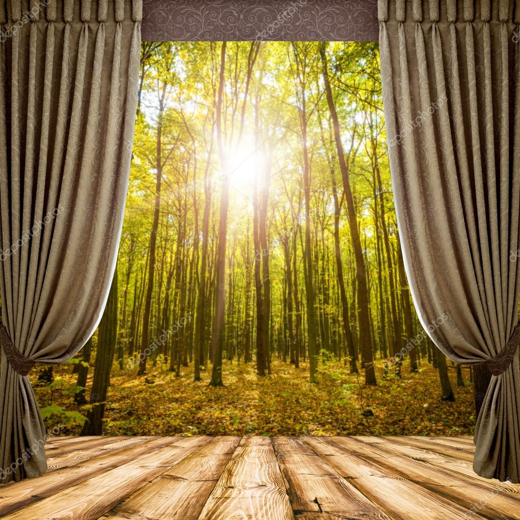 Studio Background Curtains