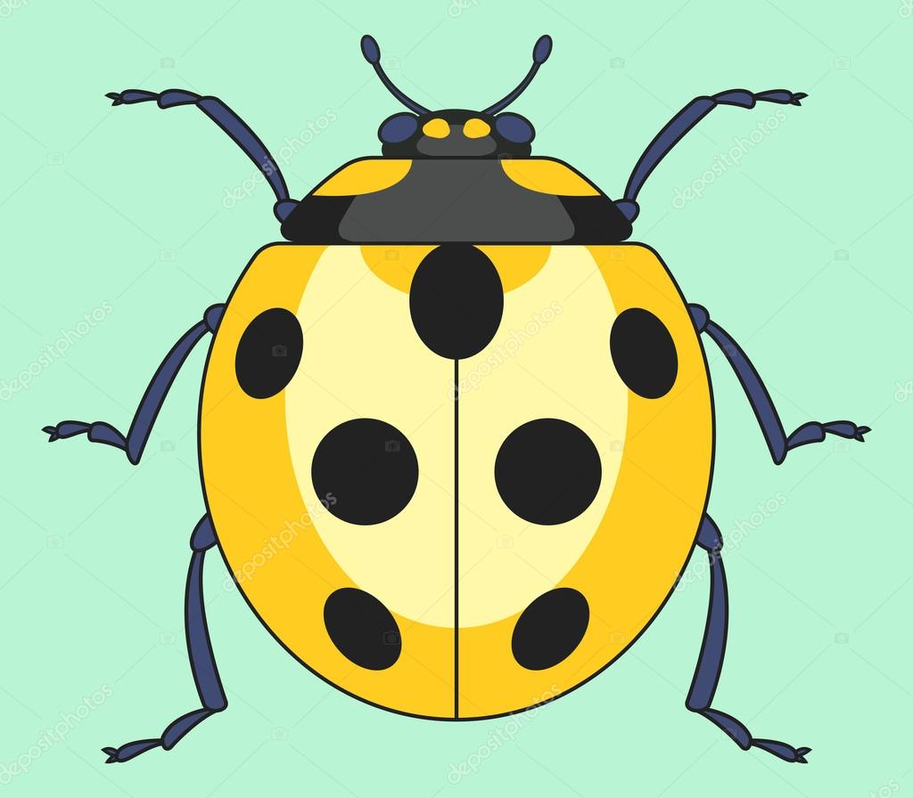 Yellow ladybug insect Stock Vector Image by ©AlexanderZam #123418768
