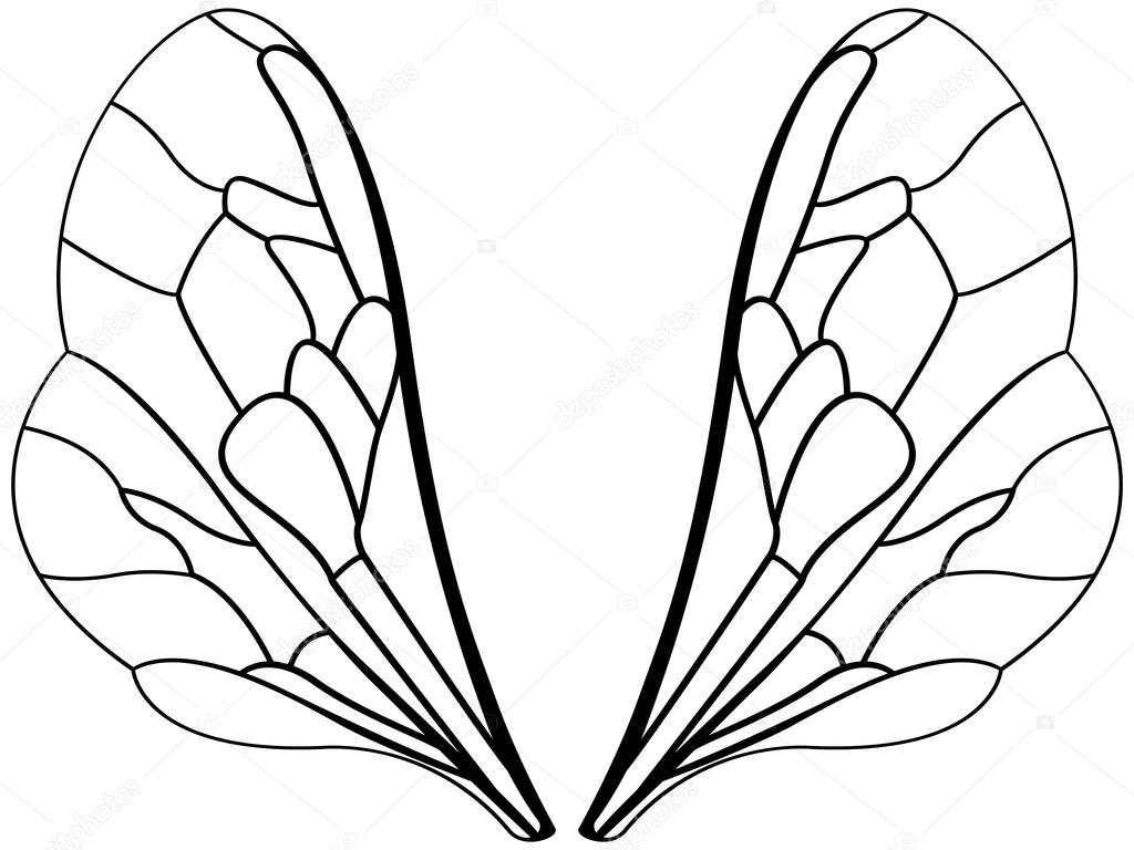Black insects wings Stock Vector Image by ©AlexanderZam #91936106