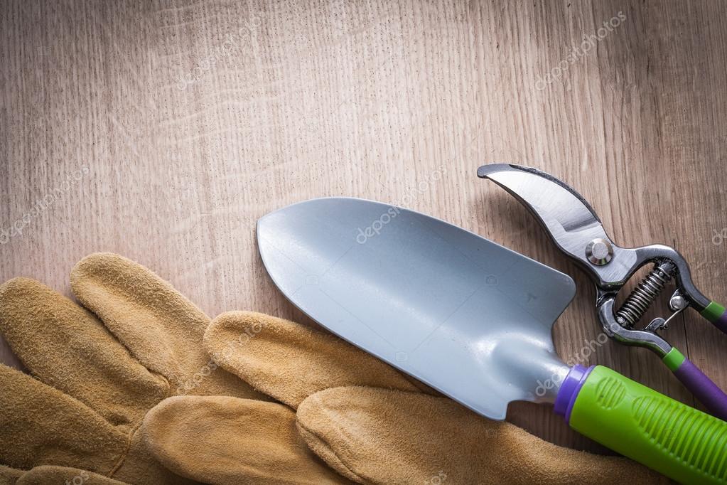 Pruner, hand spade and safety gloves Stock Photo by ©mihalec 78565424