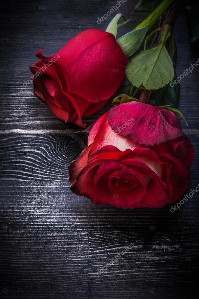 Two red roses Stock Photo by ©mihalec 92641734