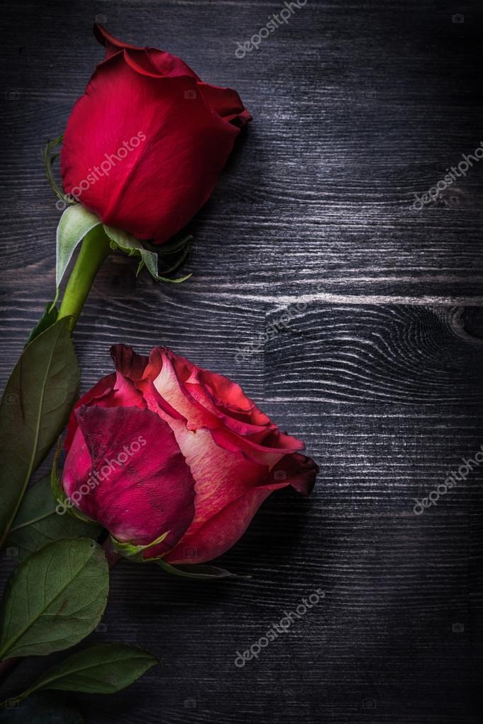 Two red roses Stock Photo by ©mihalec 92641744