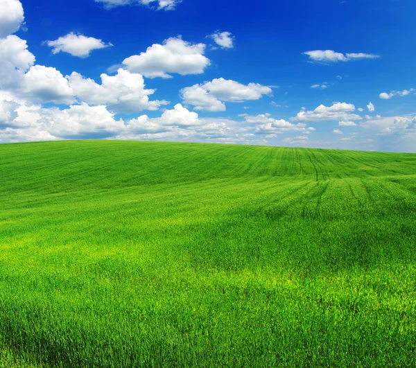 Green field blue sky Stock Photos, Royalty Free Green field blue sky ...