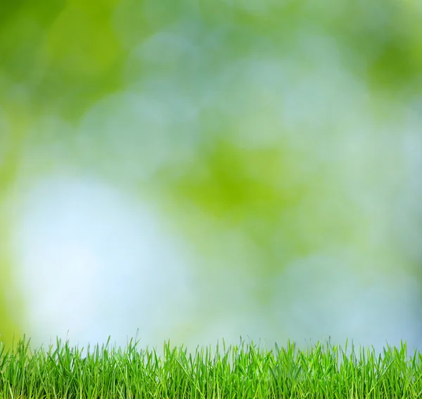 Natural green background Stock Photo by ©Pakhnyushchyy 63391005