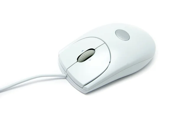 Computer mouse Stock Photos, Royalty Free Computer mouse Images ...