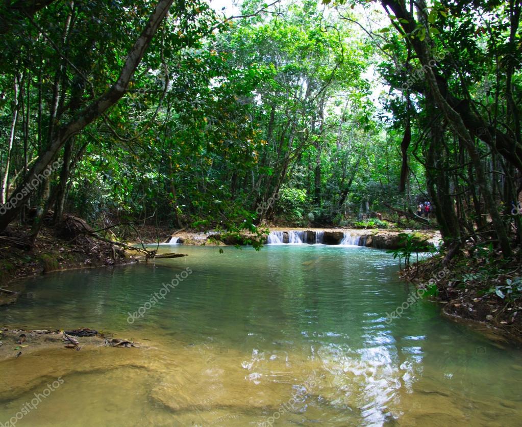 Stream in tropical jungle Stock Photo by ©Pakhnyushchyy 62778911