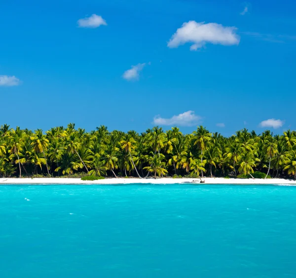 Polynesian beaches Stock Photos, Royalty Free Polynesian beaches Images ...