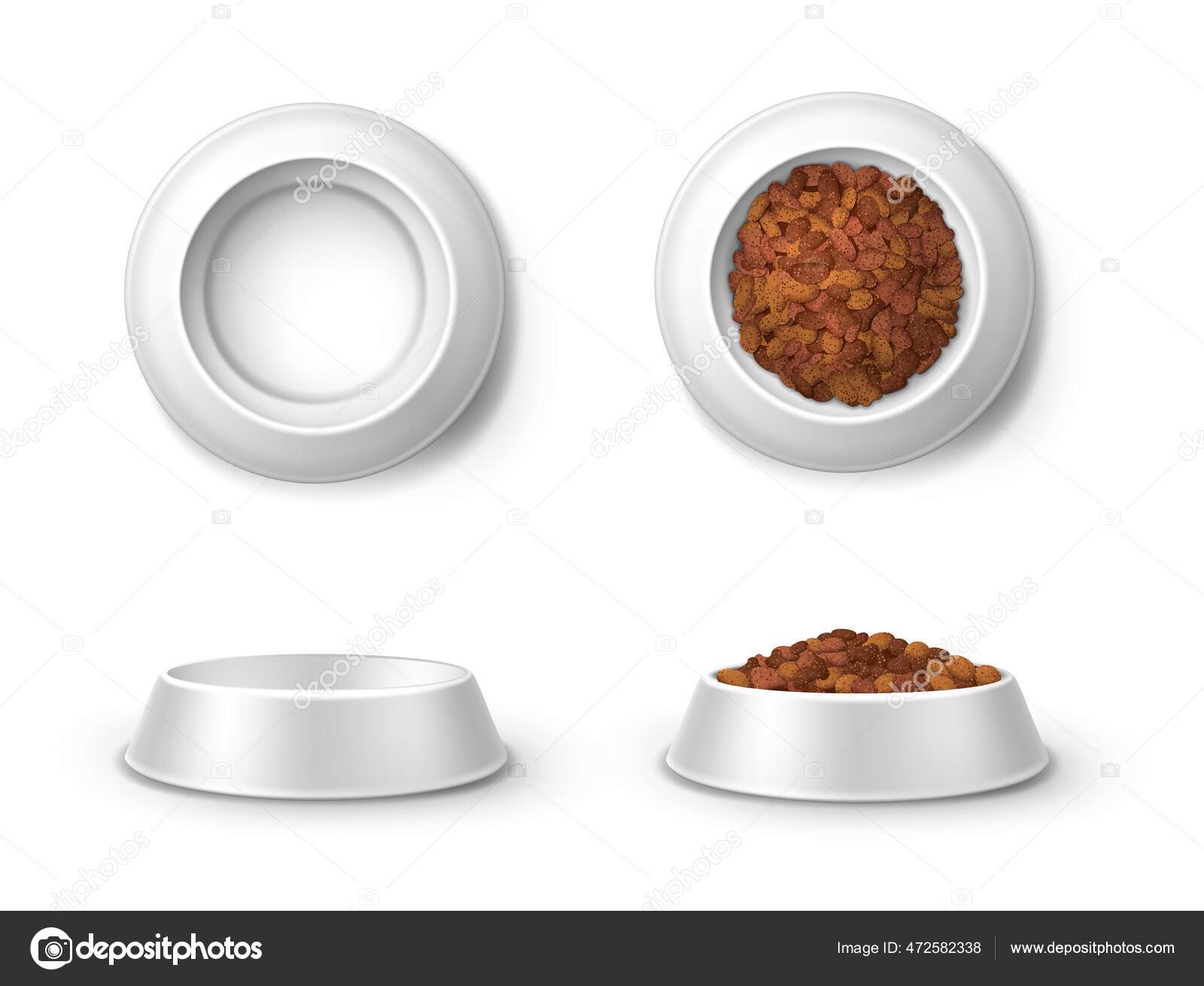 Empty Dog Food Bowl