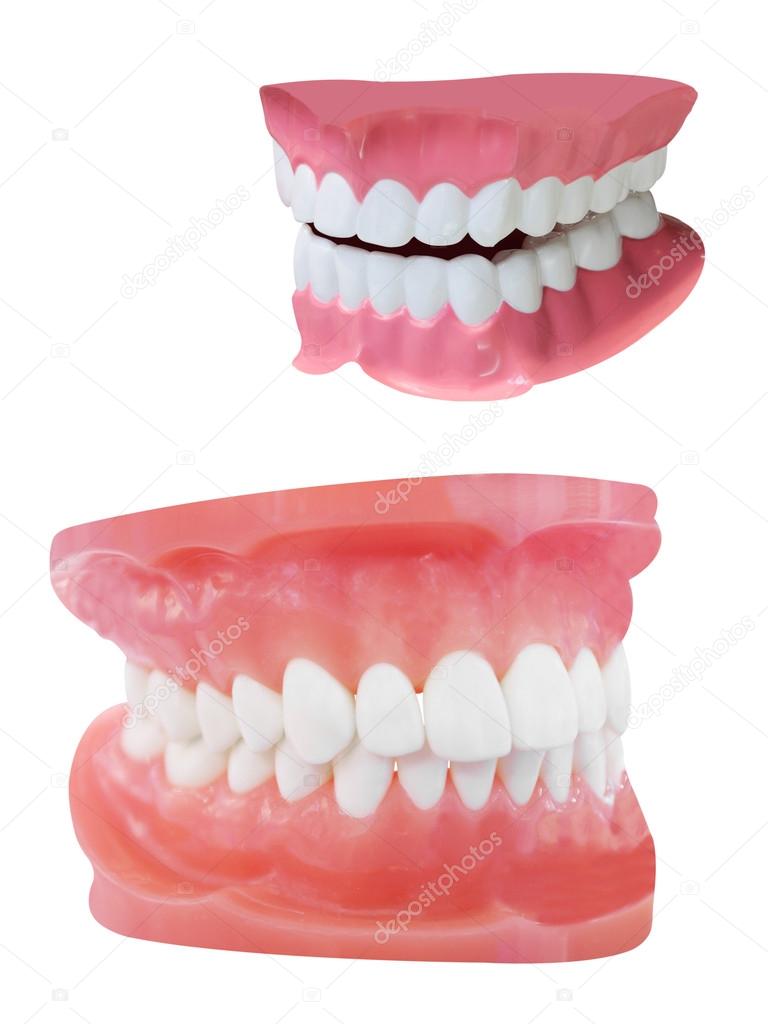Dentures — Stock Photo © uatp12 #53650649