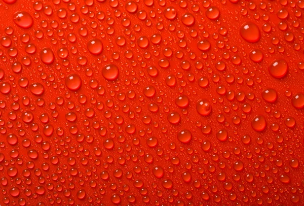 Red Water Drops Background