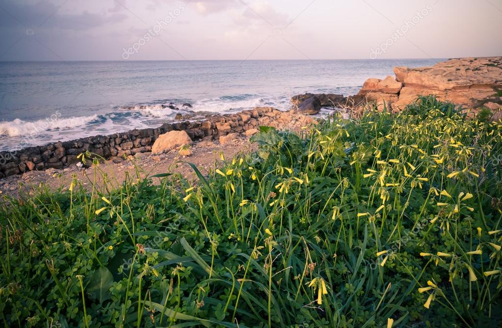 Nature of Northern Cyprus — Stock Photo © megastocker #71732631