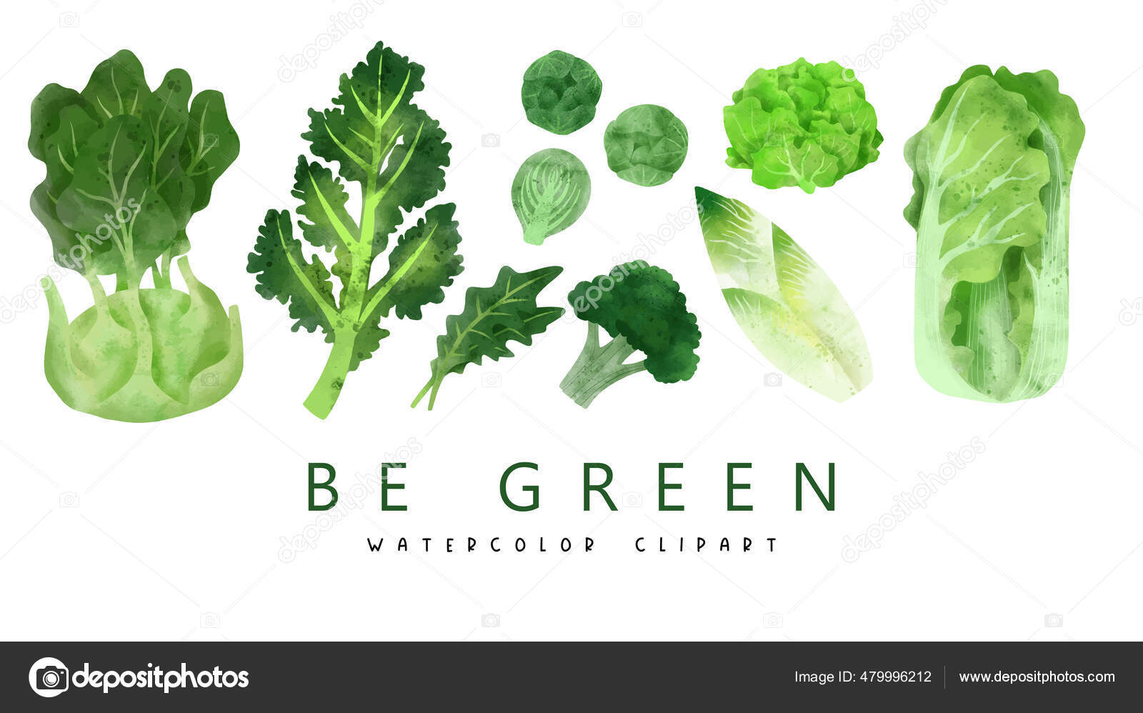 Green Leafy Vegetables Clipart