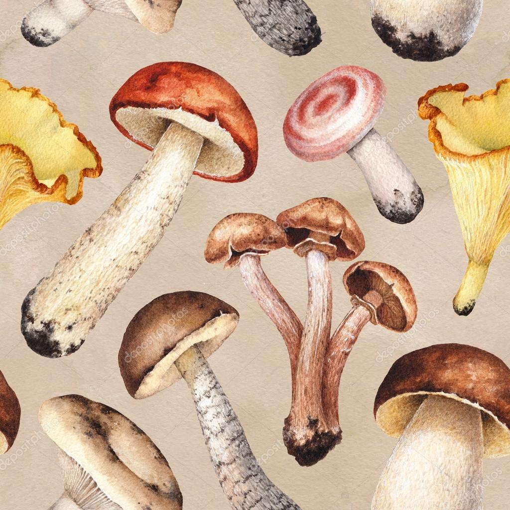 Watercolor illustration of mushrooms. — Stock Photo © Sashsmir #110875336 Watercolor illustration of mushrooms. — Stock Photo © Sashsmir #110875336