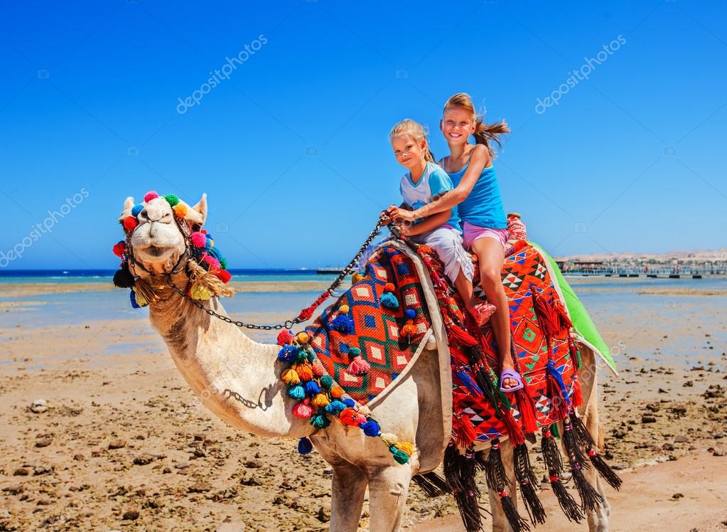 Tourists riding camel on beach of Egypt. Stock Photo by ©poznyakov 71724575