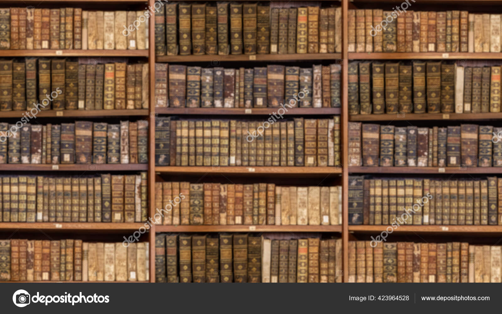 Vintage Library Wallpaper