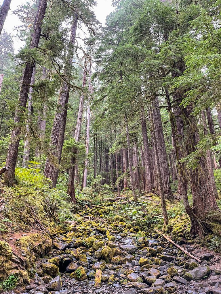 Las Cataratas del Sol Duc en el Valle del Sol Duc son llamadas las ...