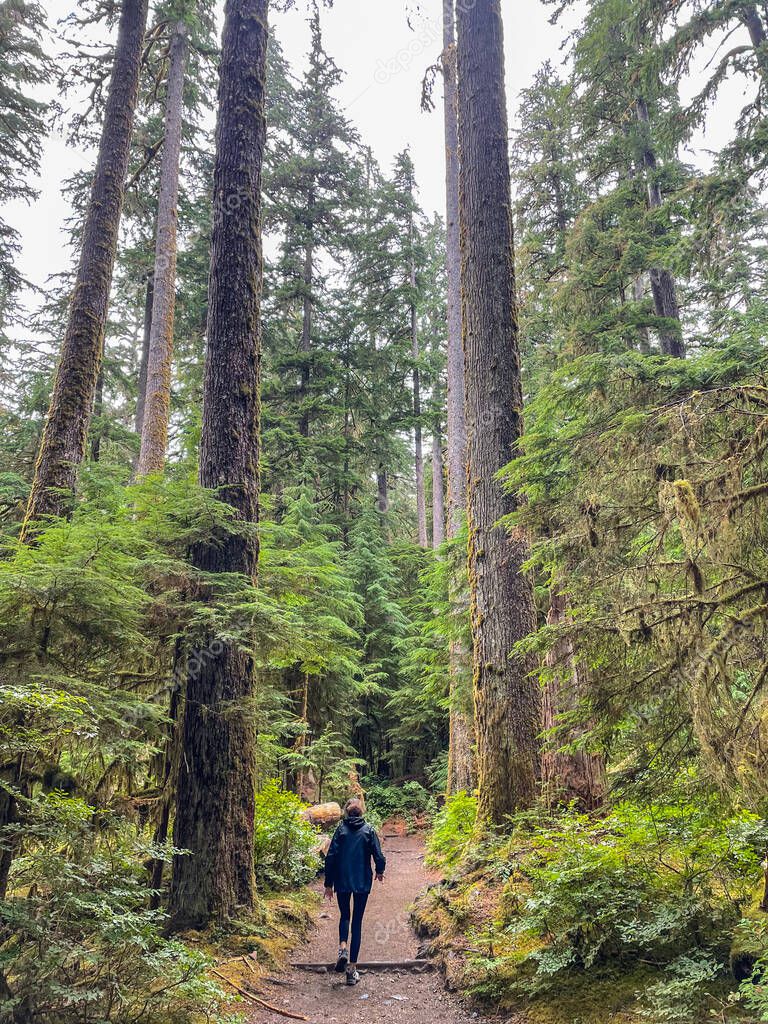 Las Cataratas del Sol Duc en el Valle del Sol Duc son llamadas las cataratas m s bellas del ...