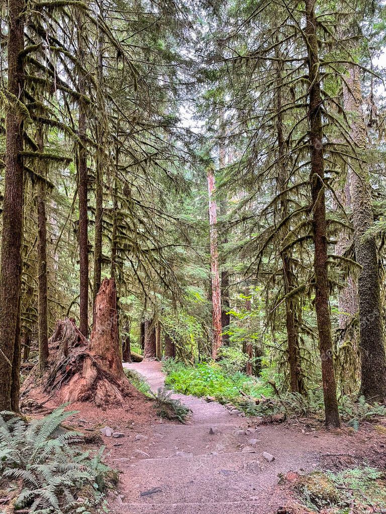 Las Cataratas del Sol Duc en el Valle del Sol Duc son llamadas las ...