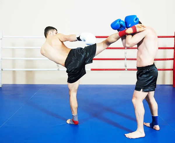 muai thai fighting technique - Stock Image - Everypixel