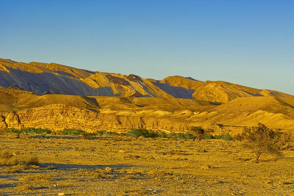 Montanhas no deserto de israel Stock Photos, Royalty Free Montanhas no ...