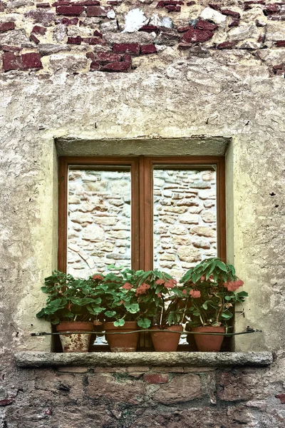 Old house window, Tuscany, Italy Stock Photo by ©karambol 4011397