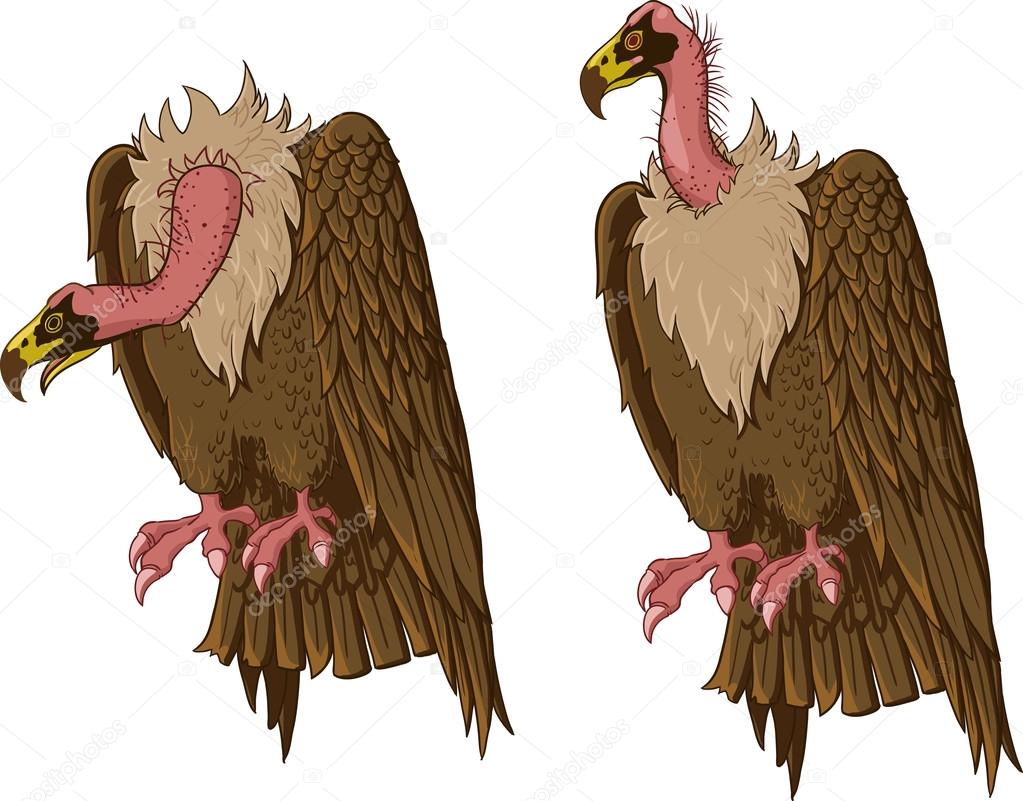 Vulture Stock Vector Image by ©sharpner #69510405