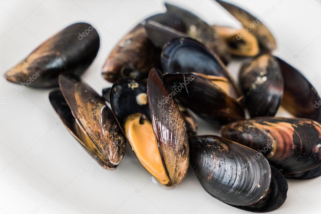 Gourmet sea mussels Stock Photo by ©Shebeko 104722574