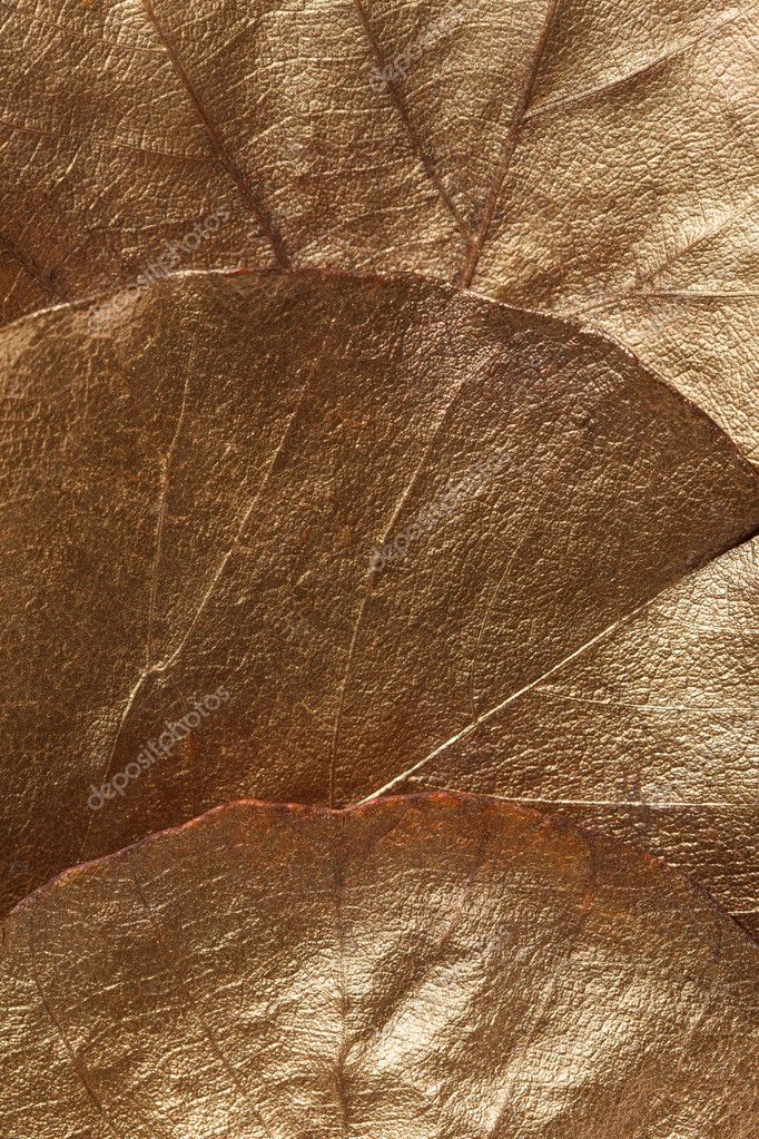 Color Leaves texture Stock Photo by ©Shebeko 111495610