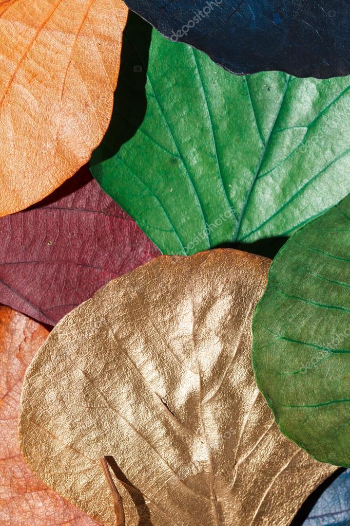 Color leaves texture Stock Photo by ©Shebeko 111495634