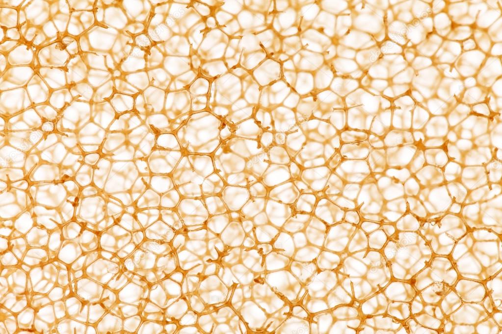 Cell background Stock Photo by ©Shebeko 54922189