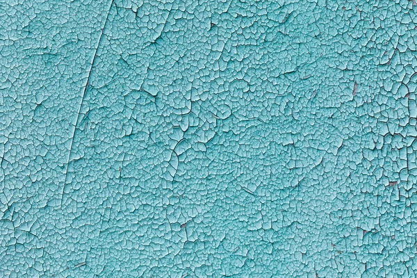 Putrid Stock Photos, Royalty Free Putrid Images | Depositphotos®