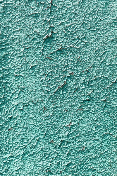 Putrid Stock Photos, Royalty Free Putrid Images | Depositphotos®