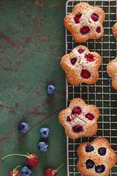 Berry financier cakes — Stock Photo © Shebeko #79943598