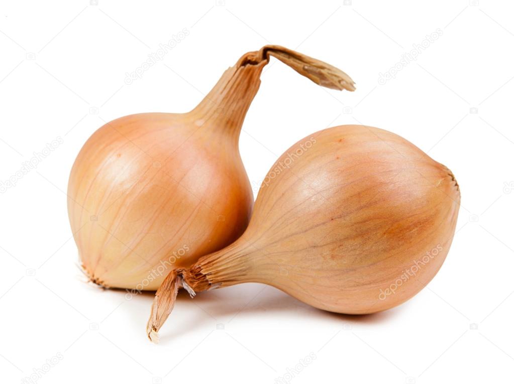 Two fresh onions Stock Photo by ©Timmary 64996569