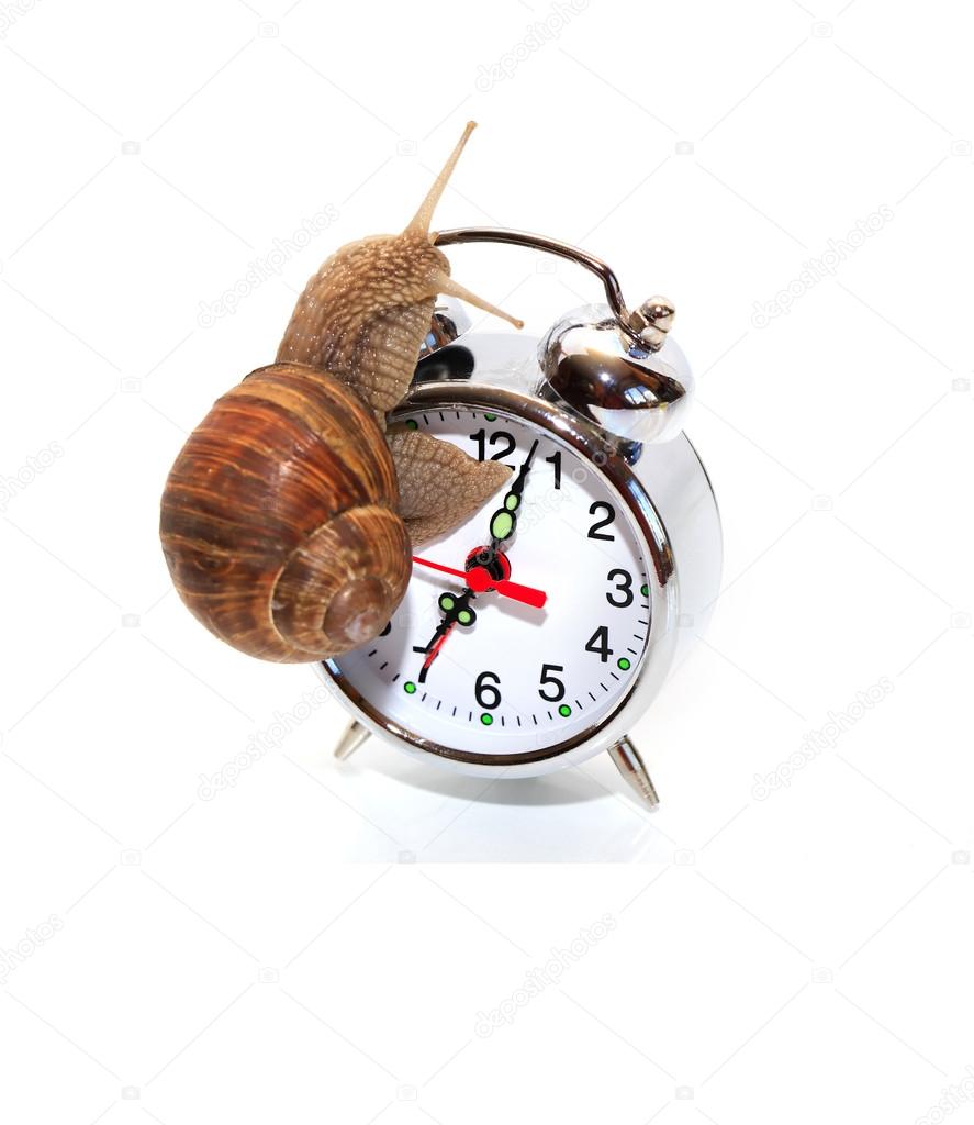 What Time Is It Now? Stock Photo by ©kvkirillov 53638949